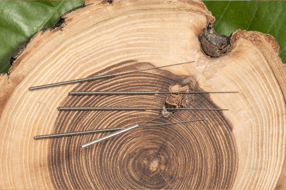 Home [wellness-template.product.basekit.technology]